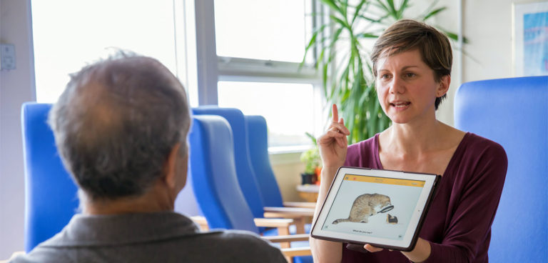 About Bulletin – the RCSLT's members' magazine | RCSLT